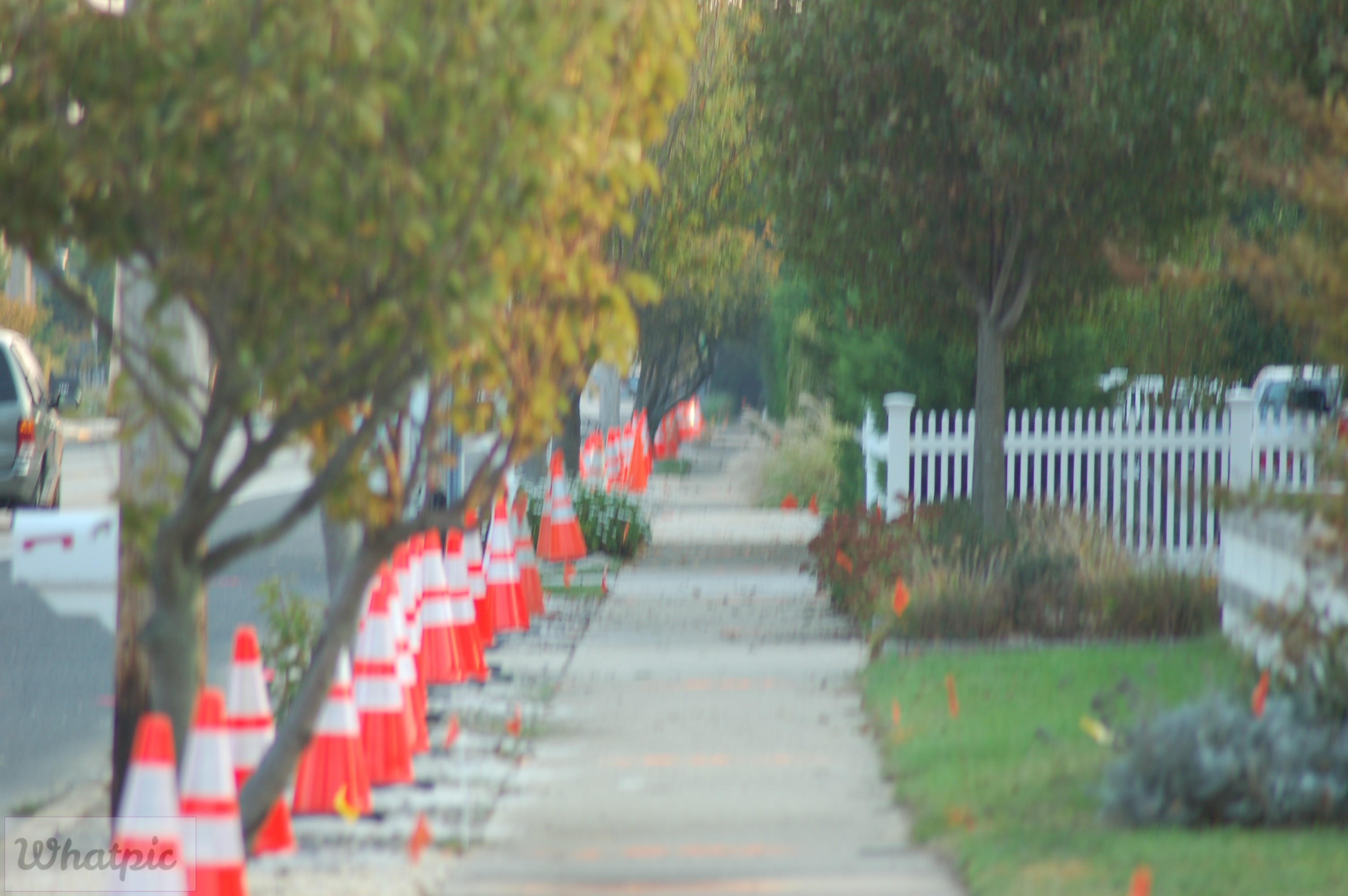 DSC 2849 - Whatpic.com