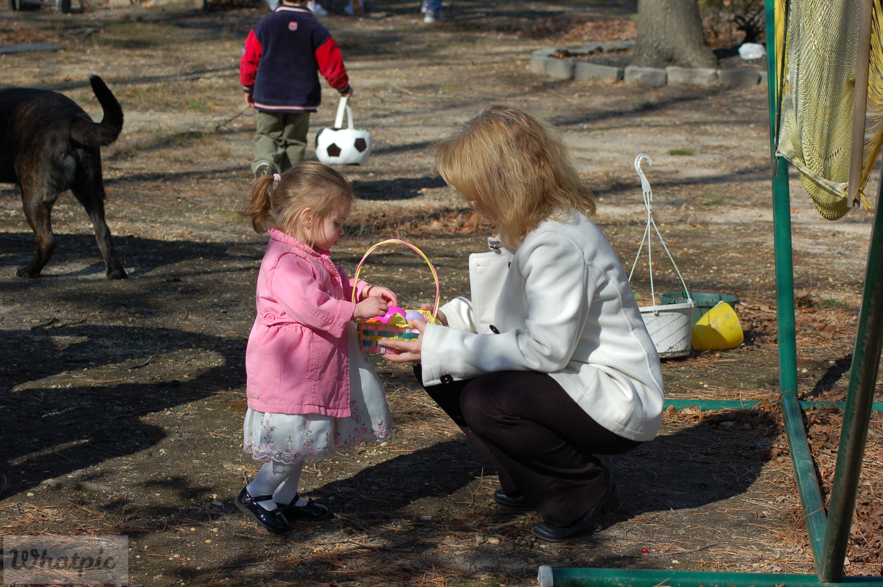 dsc 0088 28245307702 o - Whatpic.com