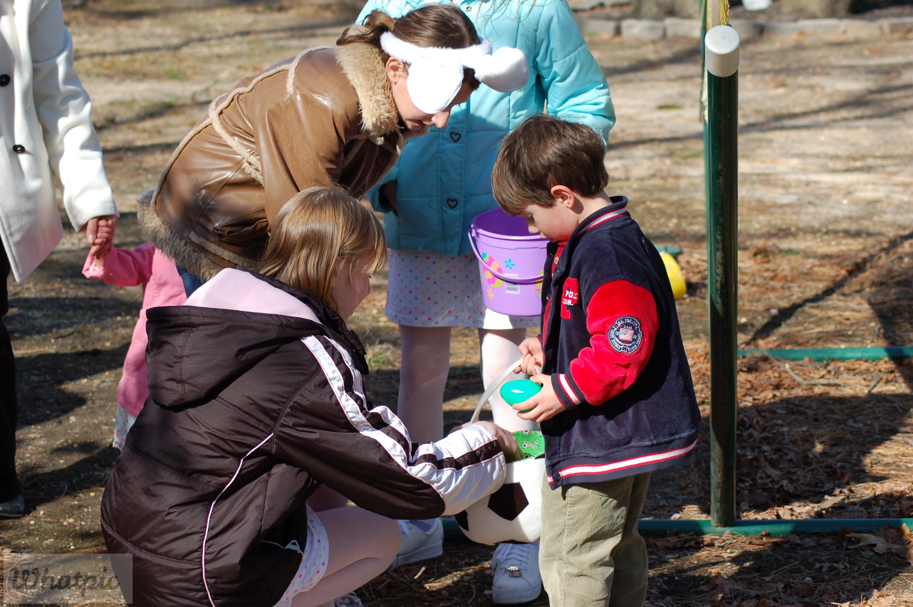 dsc 0108 27733035523 o - Whatpic.com